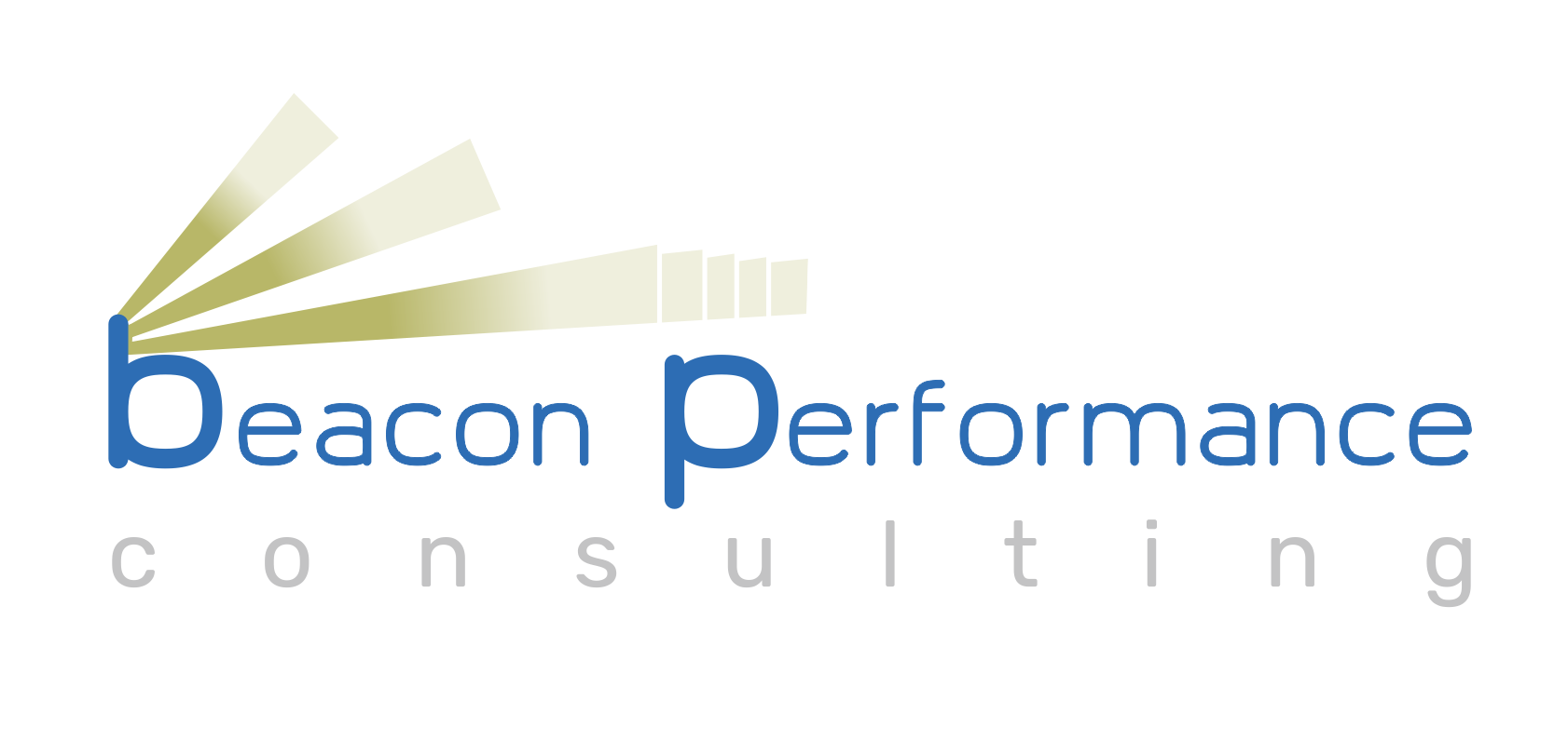 Beacon Performance Consulting - We help organizations create a data-driven culture